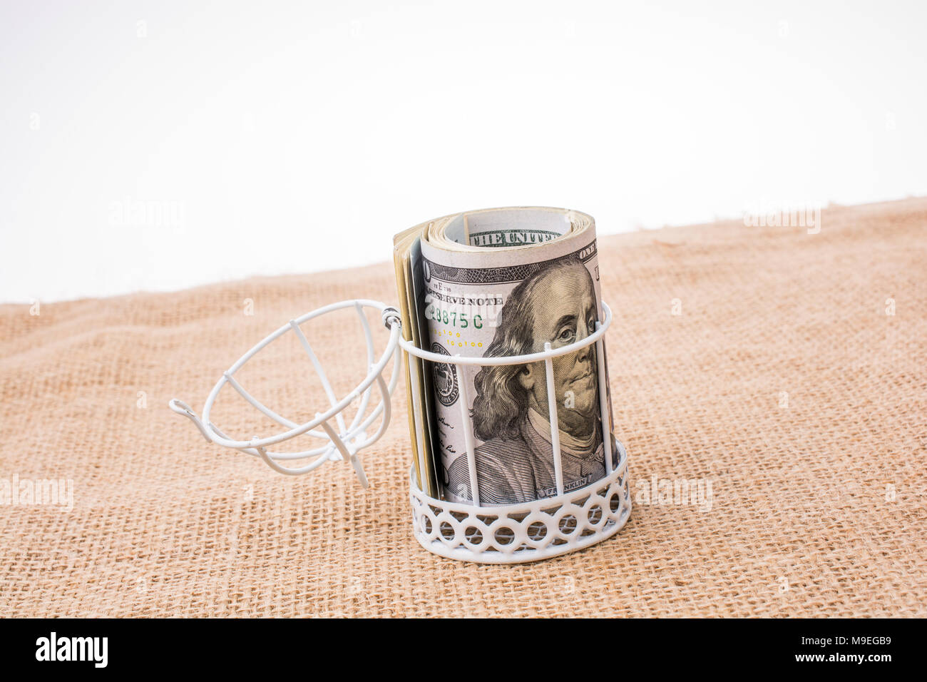 Banknote bundle of US dollar placed in a birds cage Stock Photo - Alamy
