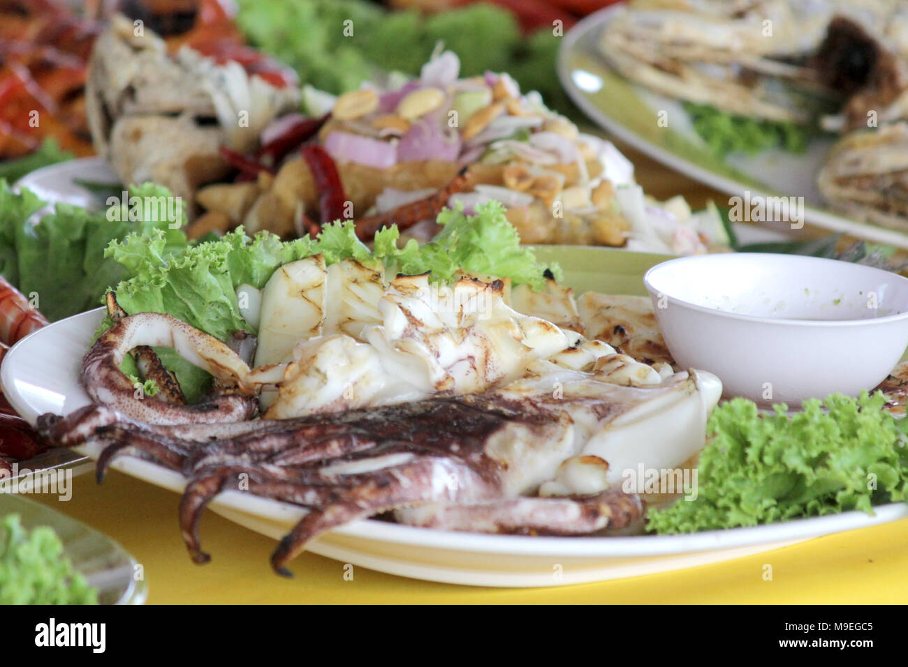 Squid eating fish hi-res stock photography and images - Alamy