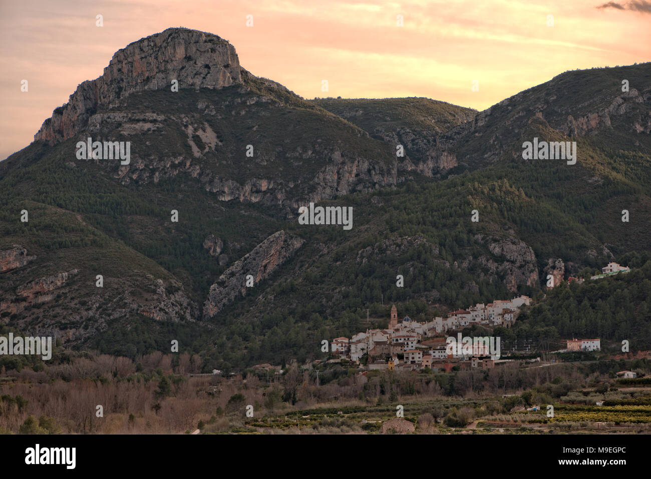 Toga around hi-res stock photography and images - Alamy