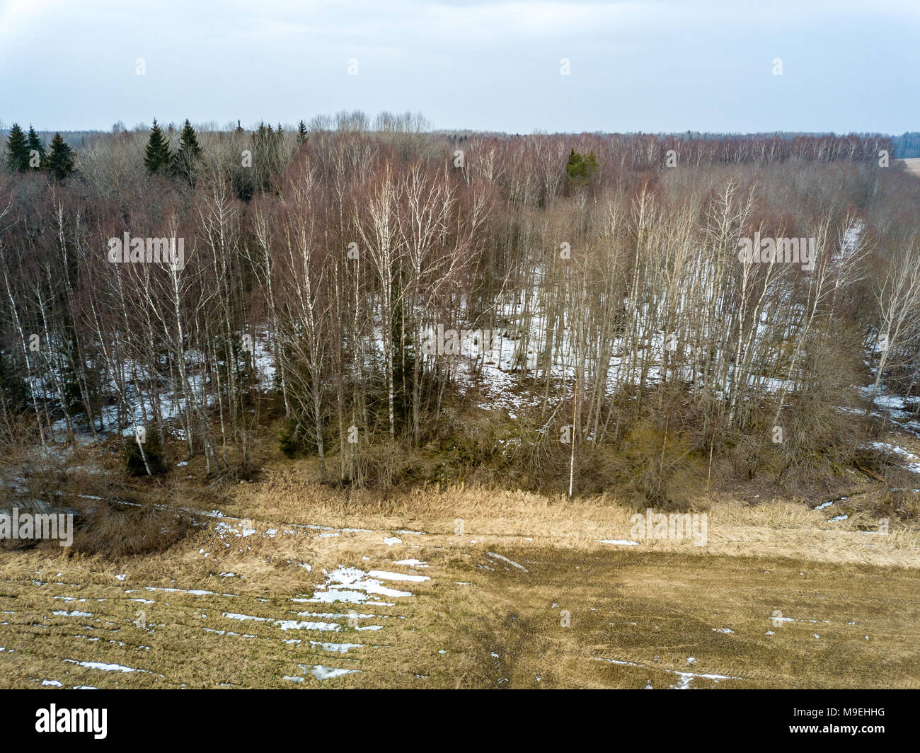 drone image. aerial view of rural area with fields in early spring ...