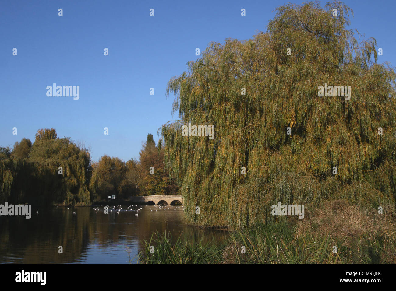 Five arches bridge foots hi-res stock photography and images - Alamy