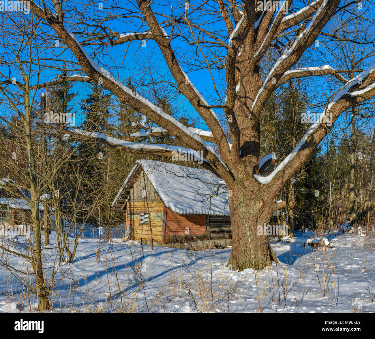 Sunny March day in the countryside Stock Photo - Alamy
