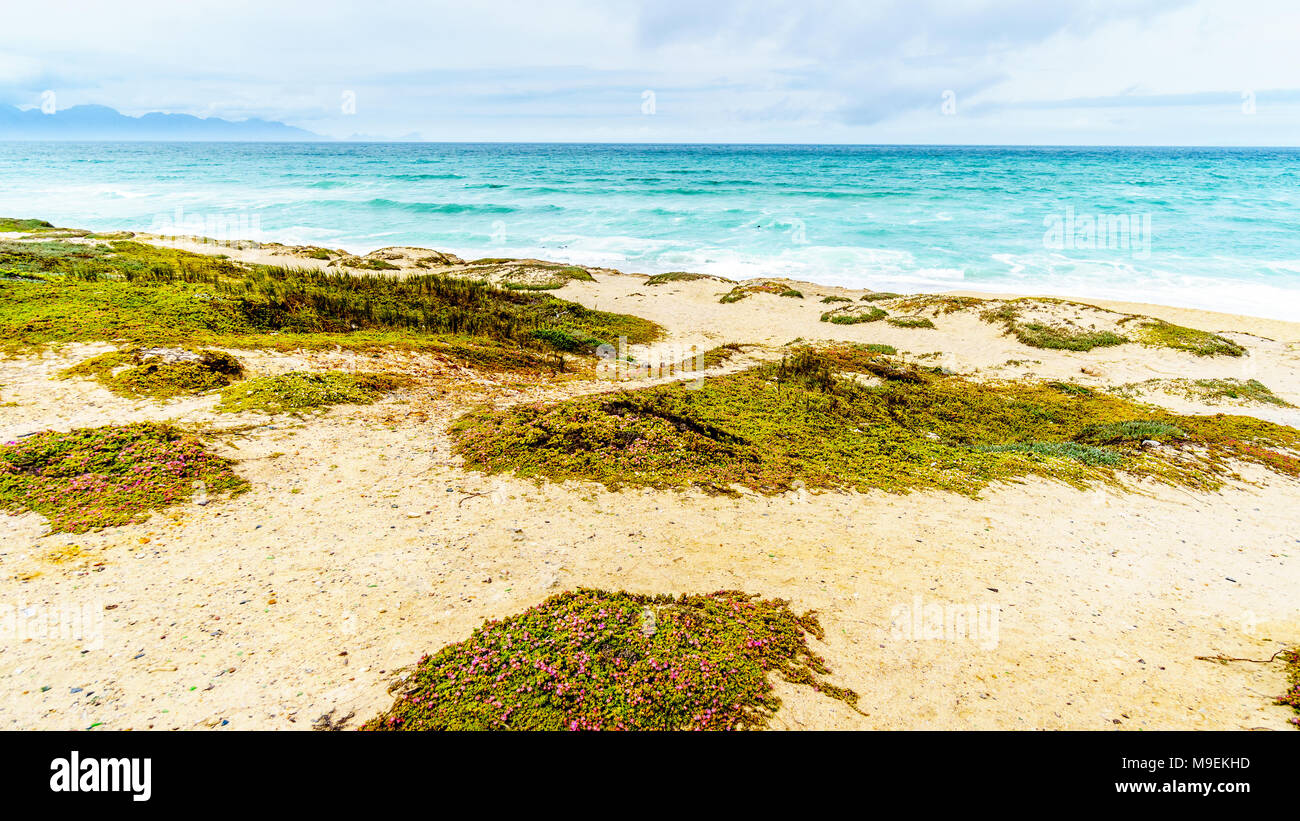 The beautiful Coastline of False Bay along Baden Powell Drive between ...