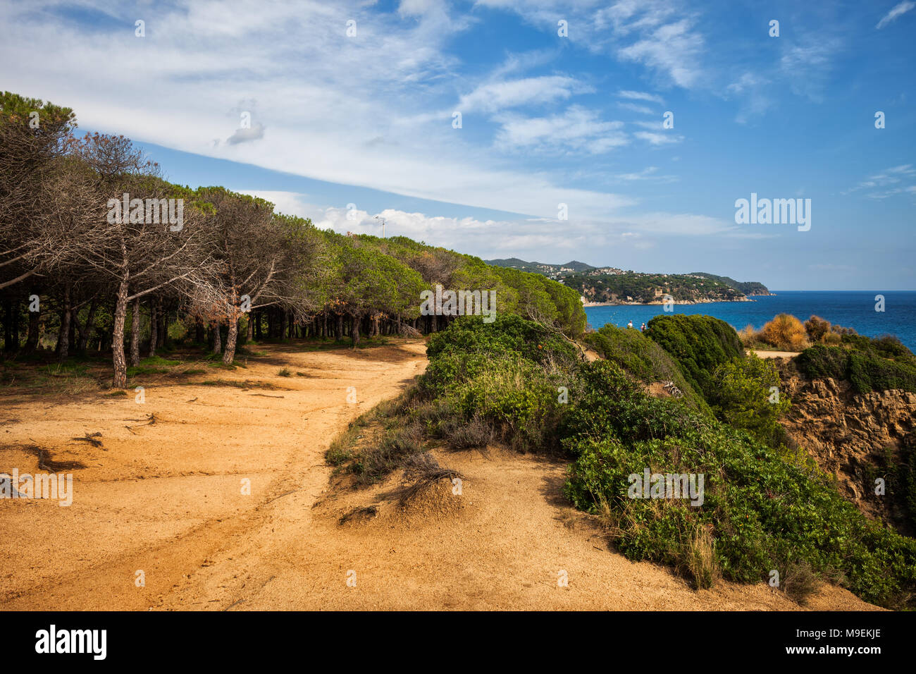Pathway mediterranean forest hi-res stock photography and images - Alamy