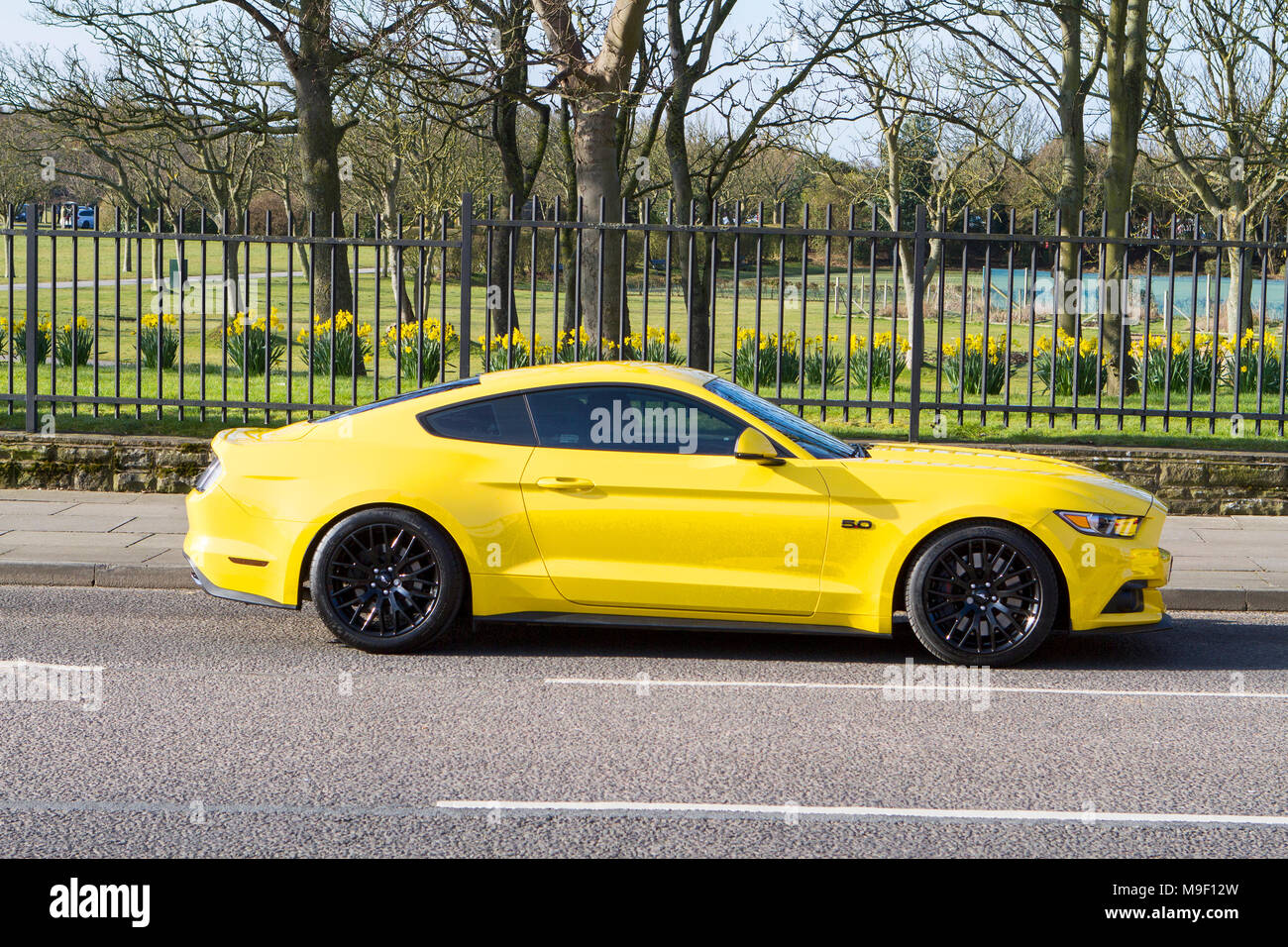 Blurred moving car Shelby FORD MUSTANG GT AUTO American muscle car Slow ...