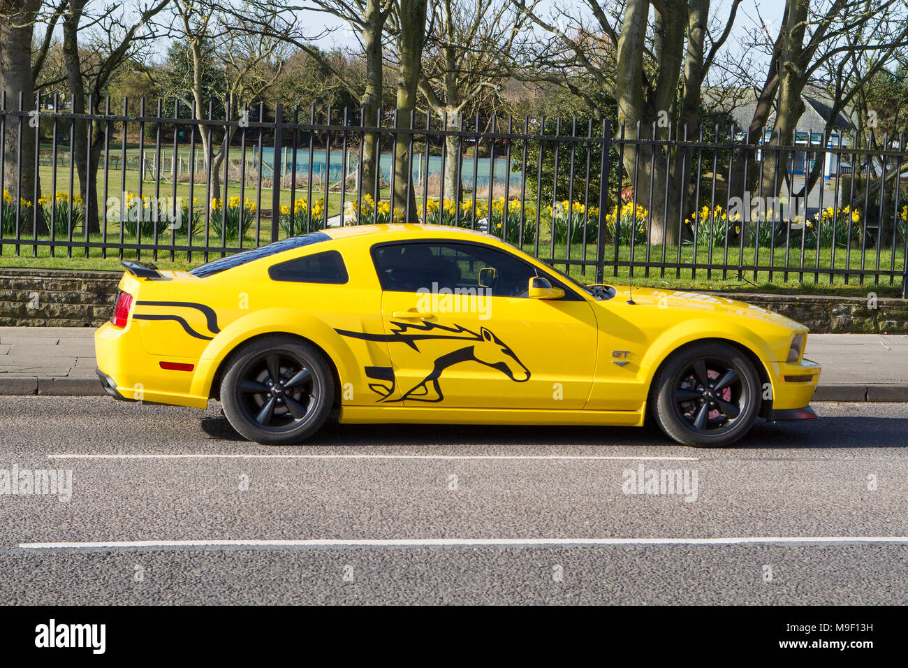 Blurred moving car Shelby FORD MUSTANG GT AUTO American muscle car Slow ...