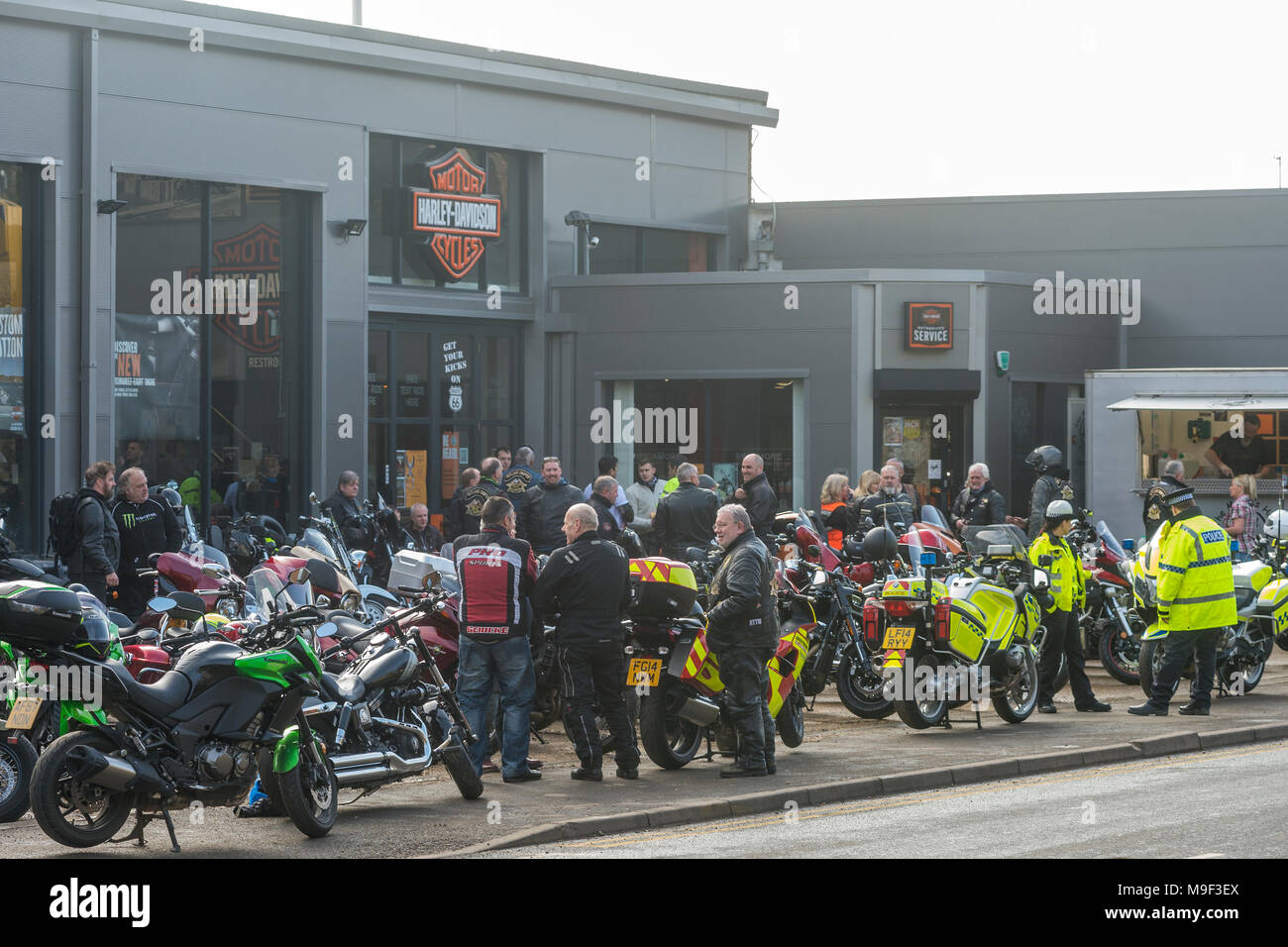 Harley The Rabbit Rabbit High Resolution Stock Photography and Images ...