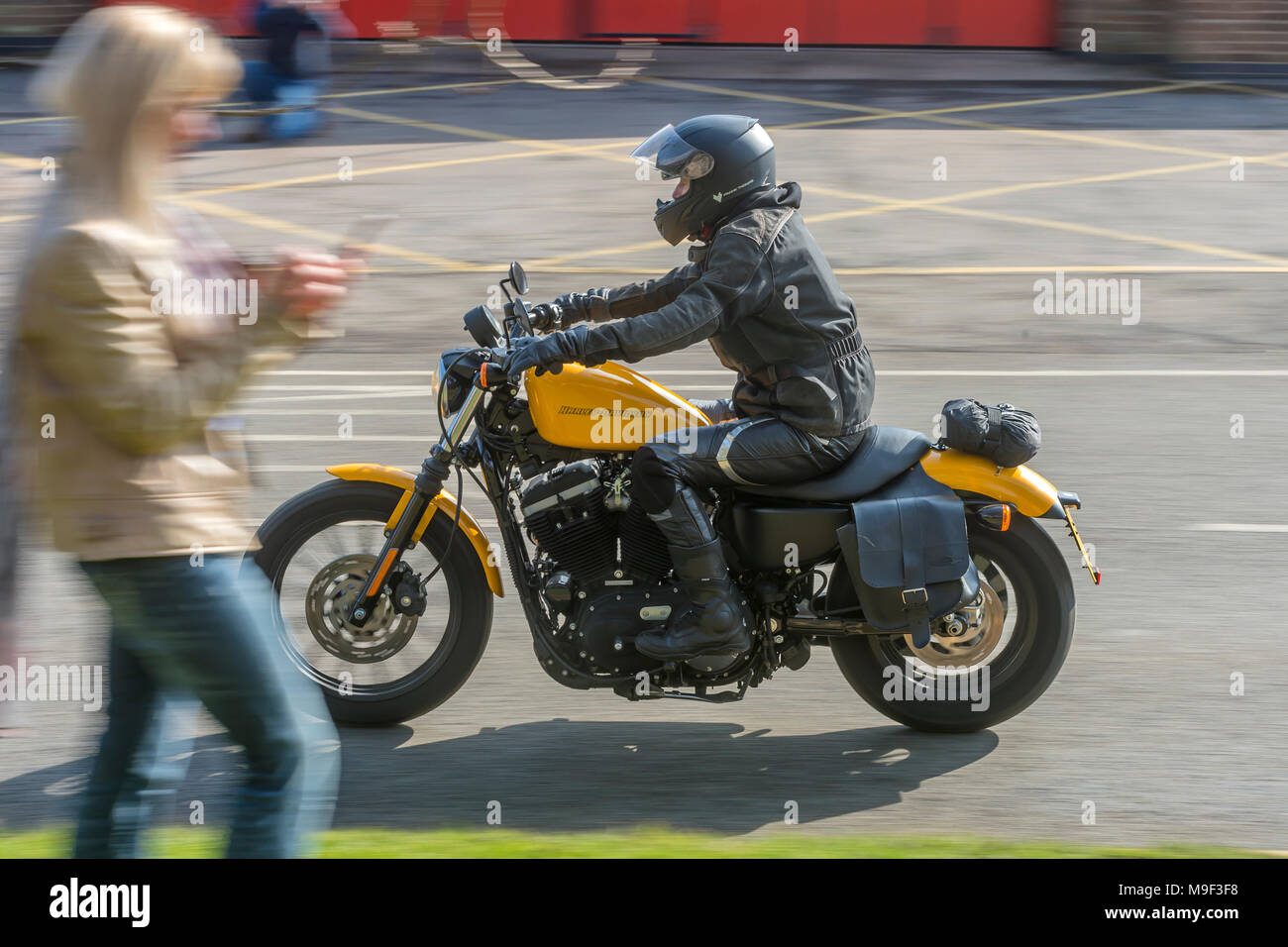 Harley The Rabbit Rabbit High Resolution Stock Photography and Images ...
