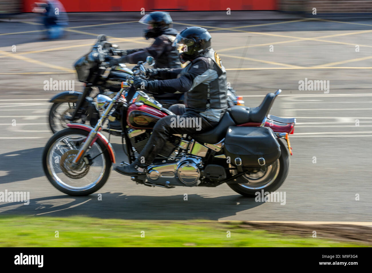 Harley The Rabbit Rabbit High Resolution Stock Photography and Images ...