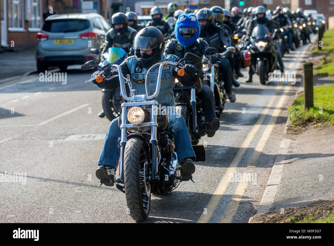 Harley The Rabbit Rabbit High Resolution Stock Photography and Images ...