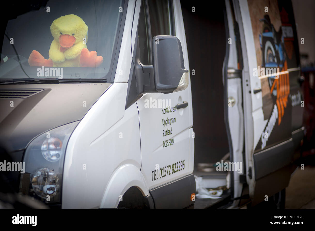 Harley the rabbit rabbit hi-res stock photography and images - Alamy