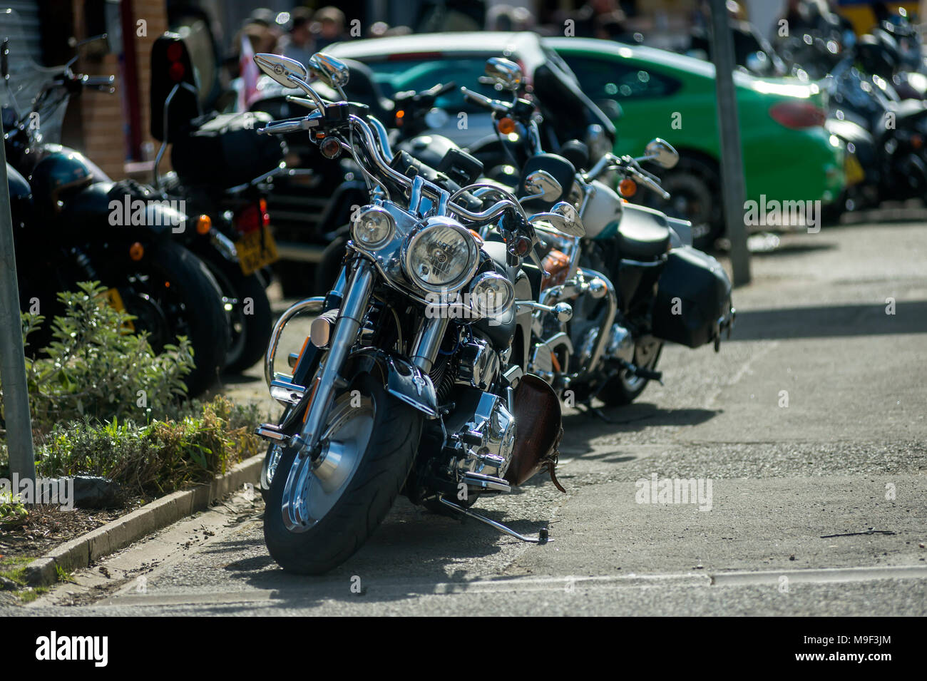 Harley The Rabbit Rabbit High Resolution Stock Photography and Images ...