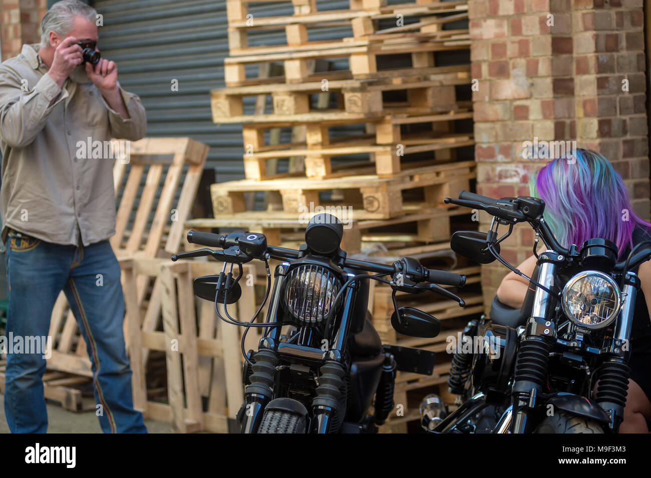 Harley The Rabbit Rabbit High Resolution Stock Photography and Images ...