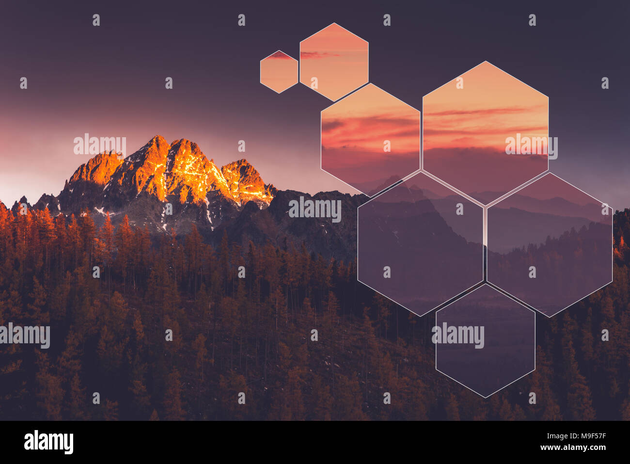 Octagon geometric landscape,polyscape. Poly scape minimal art Stock ...