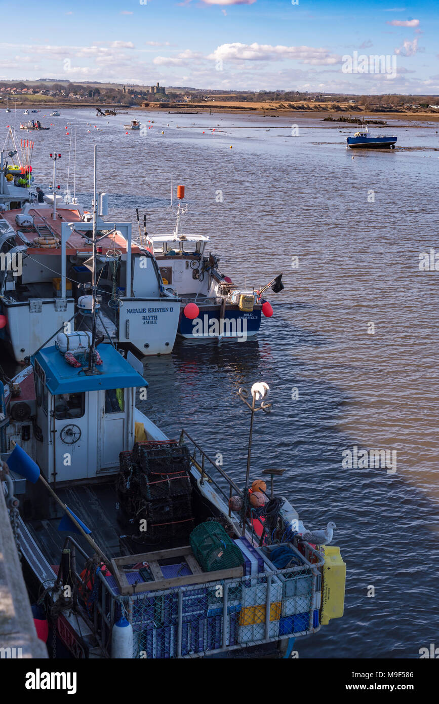 The river Coquet at Amble. Northumberland Stock Photo - Alamy