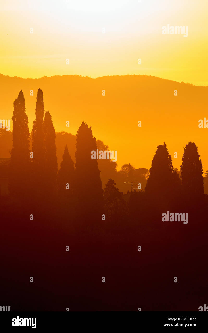 Cypress trees sunset colorful hi-res stock photography and images - Alamy