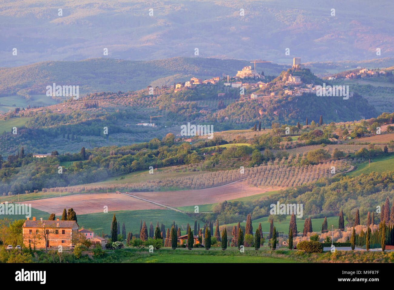 Landscape view treeline in hi-res stock photography and images - Alamy