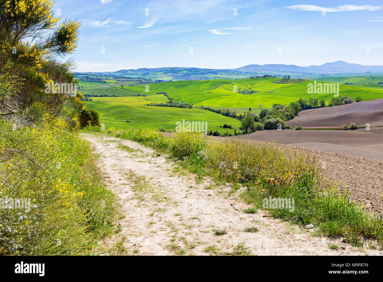 Tuscany walking trail hi-res stock photography and images - Alamy