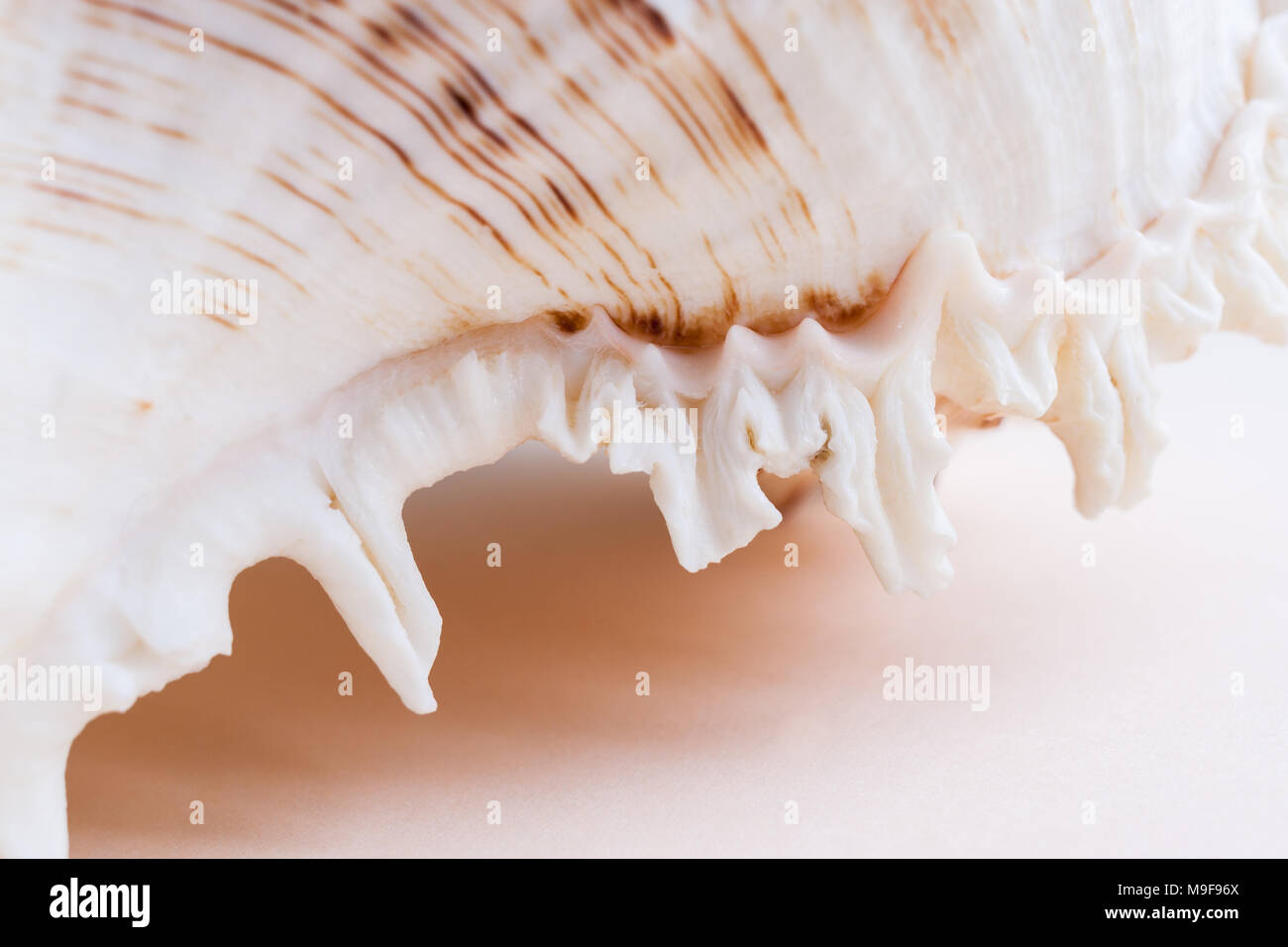 Wavy edge hi-res stock photography and images - Alamy