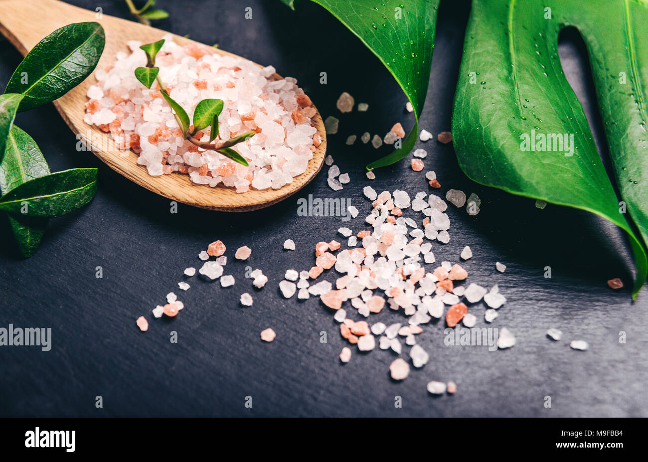 Himalayan salt in bamboo spoon on black slate plate with monstera leaf ...