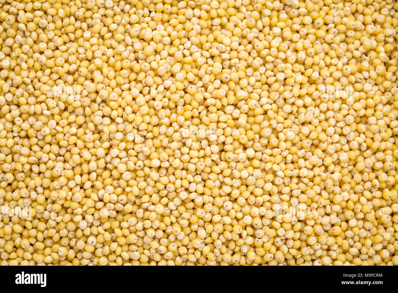 gluten free millet grain background and texture Stock Photo - Alamy