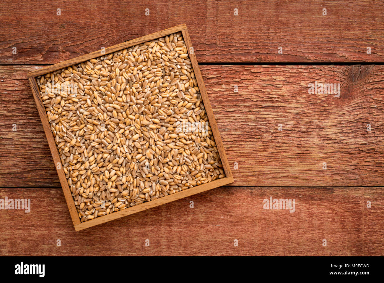 Hard red wheat hi-res stock photography and images - Alamy