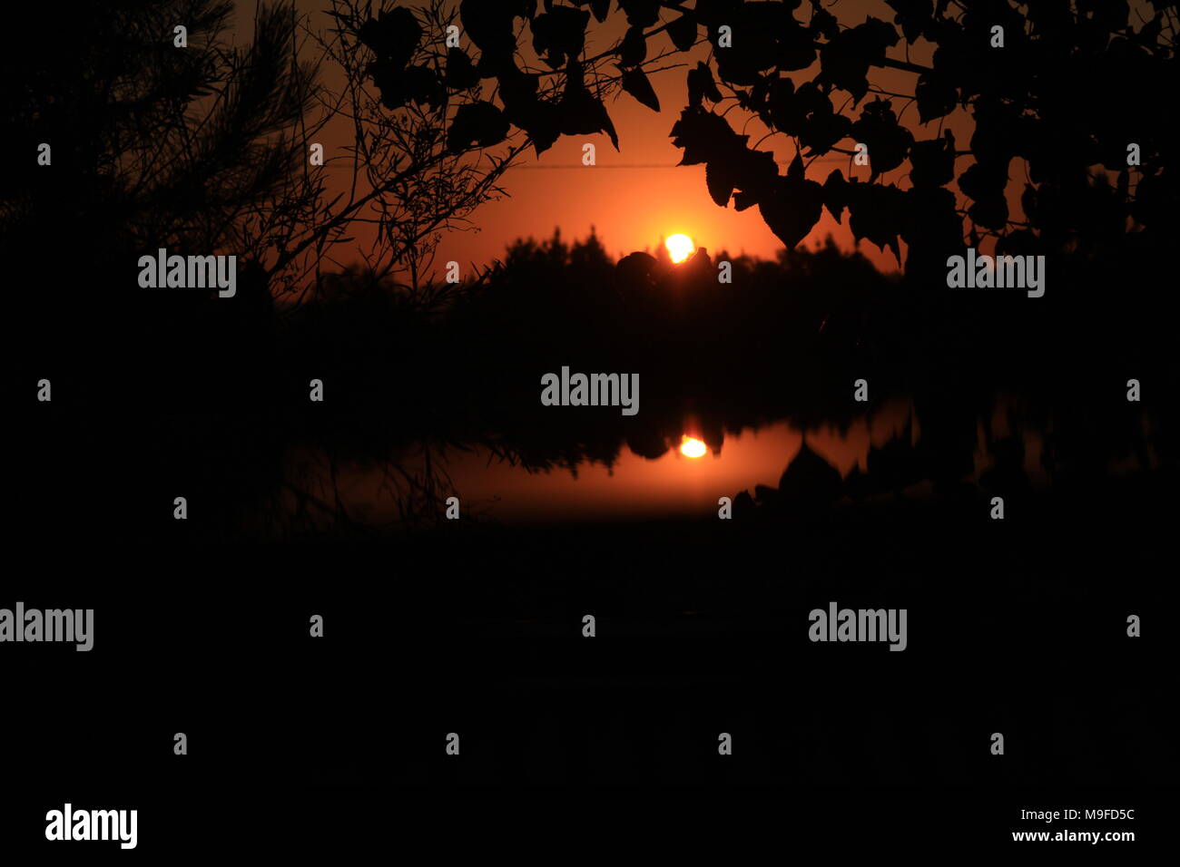 Quillon hi-res stock photography and images - Alamy