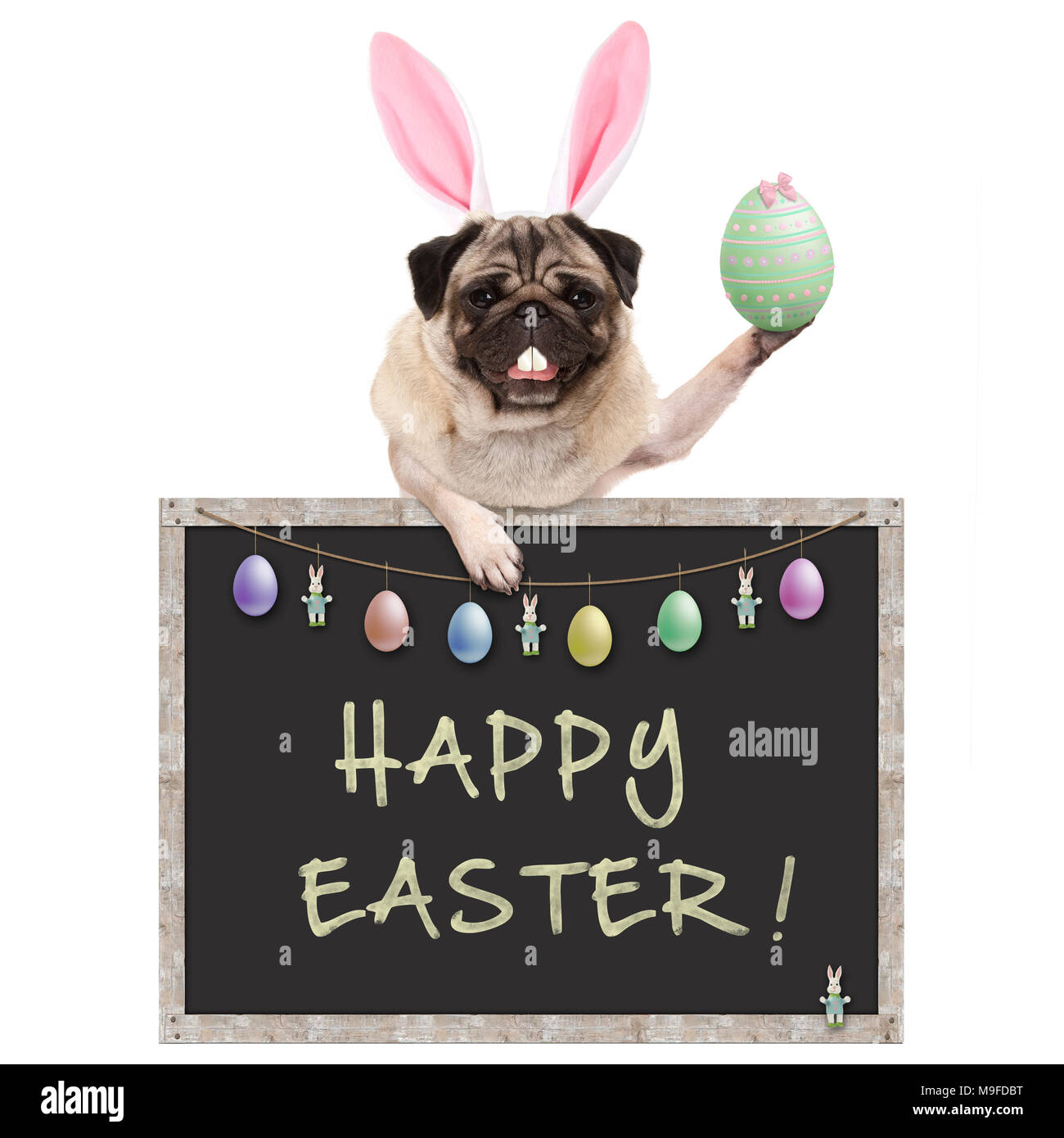 cute pug puppy dog with bunny ears diadem, holding up easter egg ...