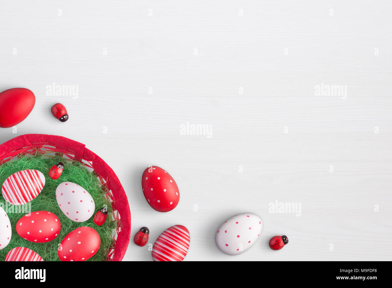 Ladybug eggs hi-res stock photography and images - Alamy