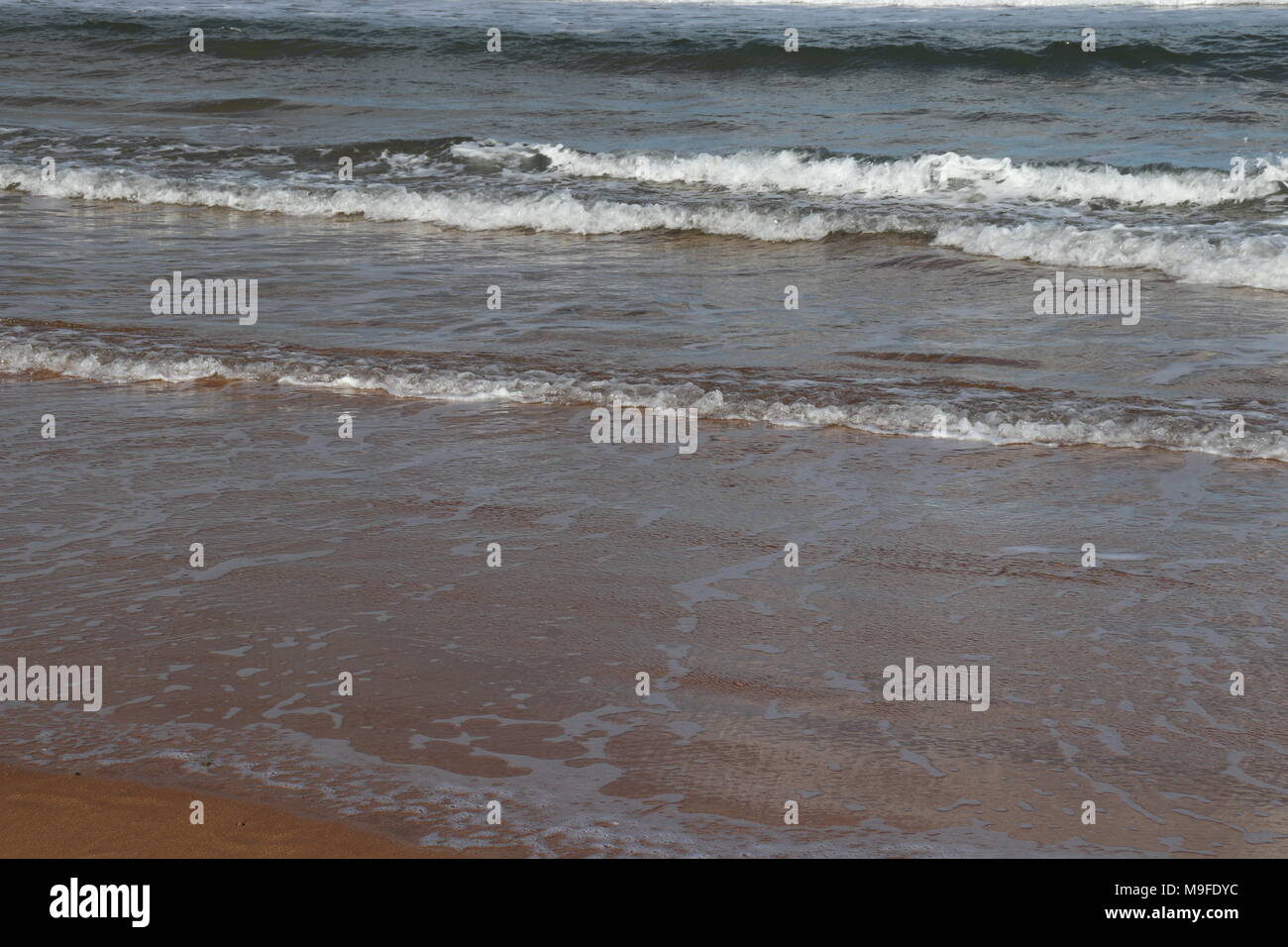 Scotstown beach hi-res stock photography and images - Alamy