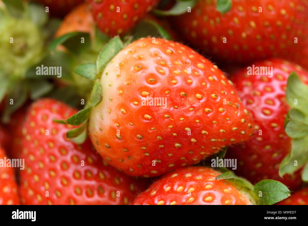 Red color fruit hi-res stock photography and images - Alamy
