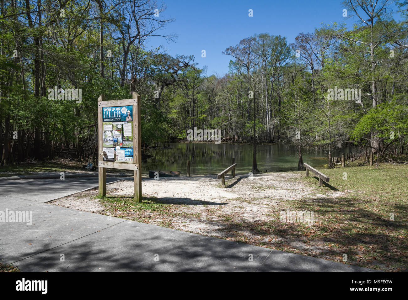 Manatee Springs State Park, Florida USA Stock Photo - Alamy