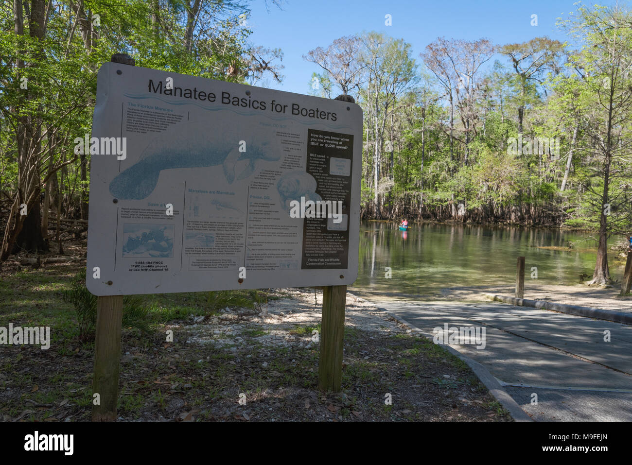 Manatee boat hi-res stock photography and images - Alamy