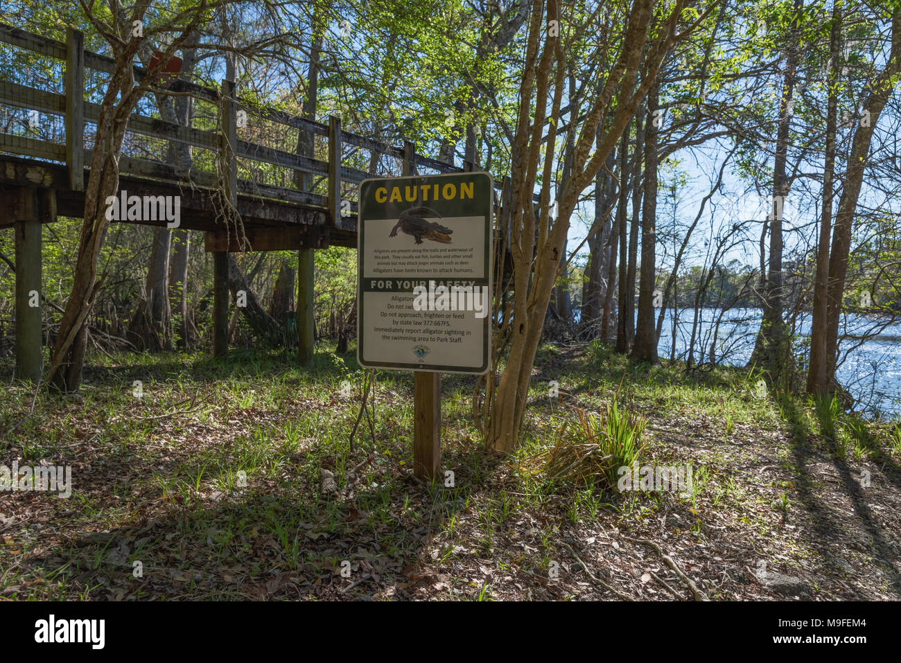 Alligator safety caution sign posted at Fanning Springs State Park ...