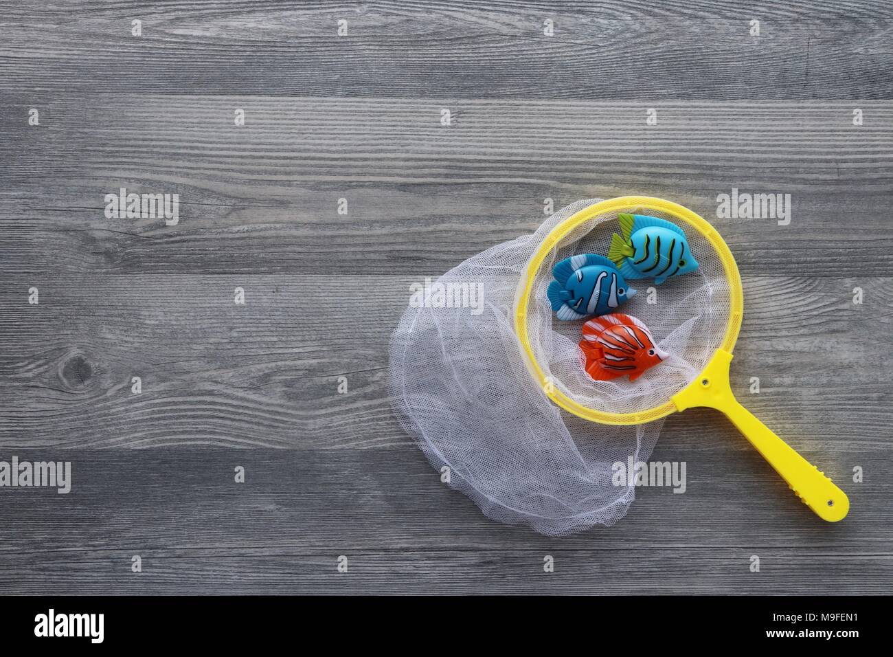 Wood gone grey hi-res stock photography and images - Alamy