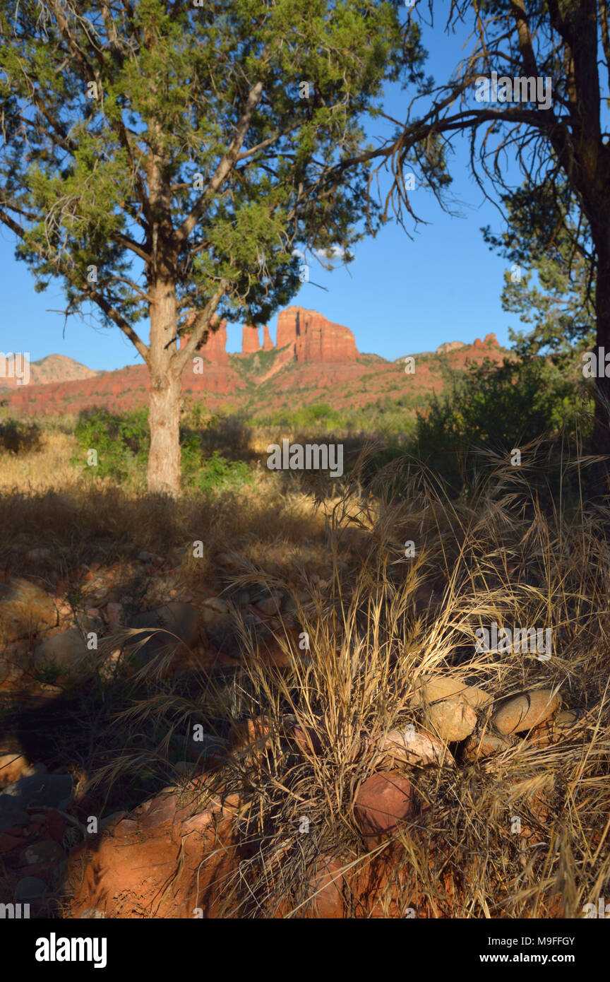 Park loop rd hi-res stock photography and images - Alamy