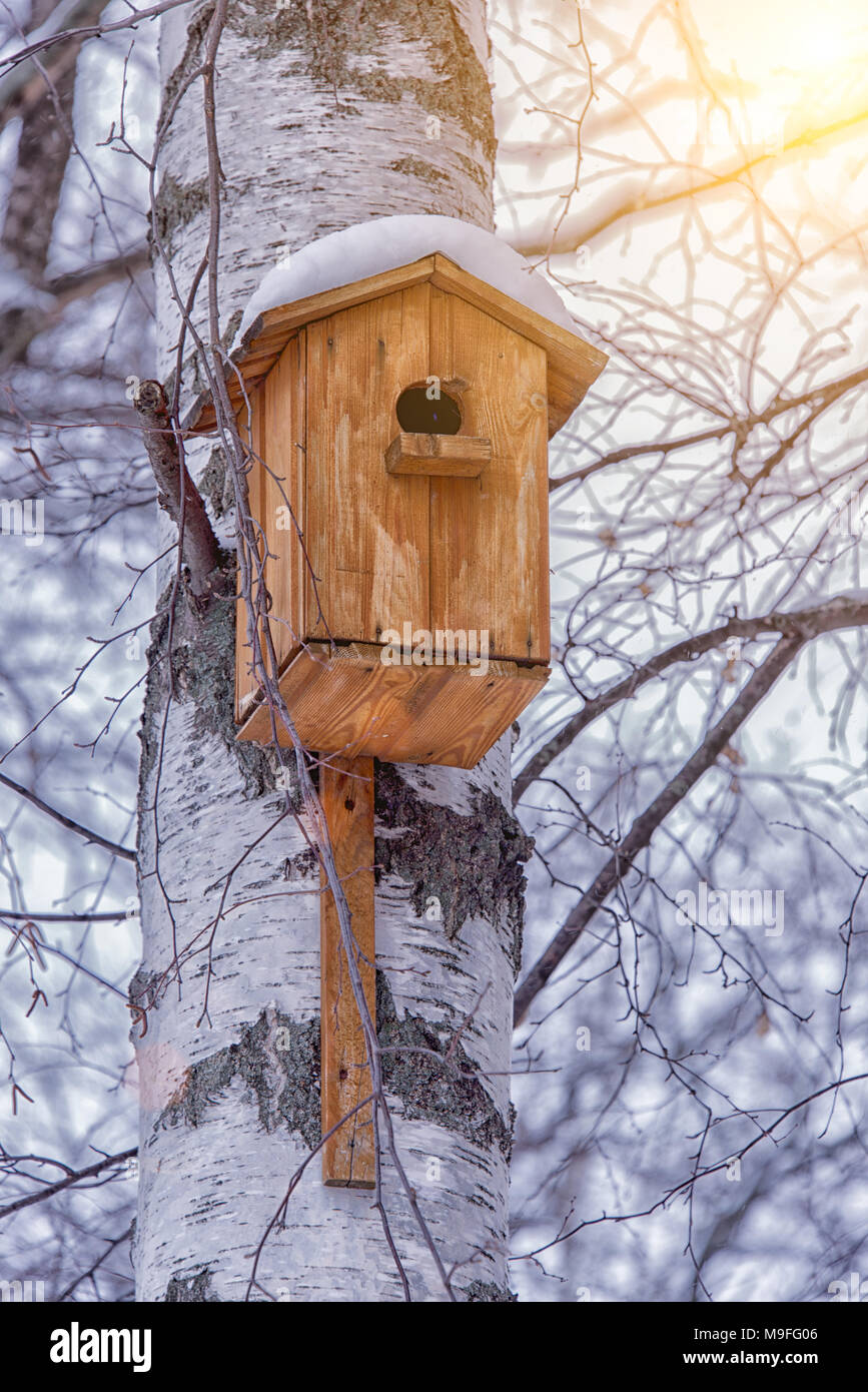 Birds on tree in heart nest hi-res stock photography and images - Alamy