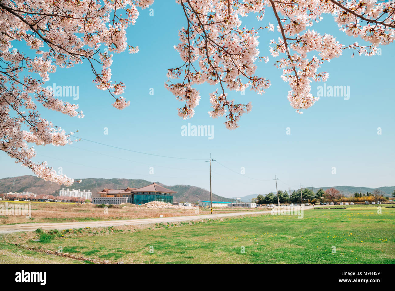 South korean countryside hi-res stock photography and images - Alamy