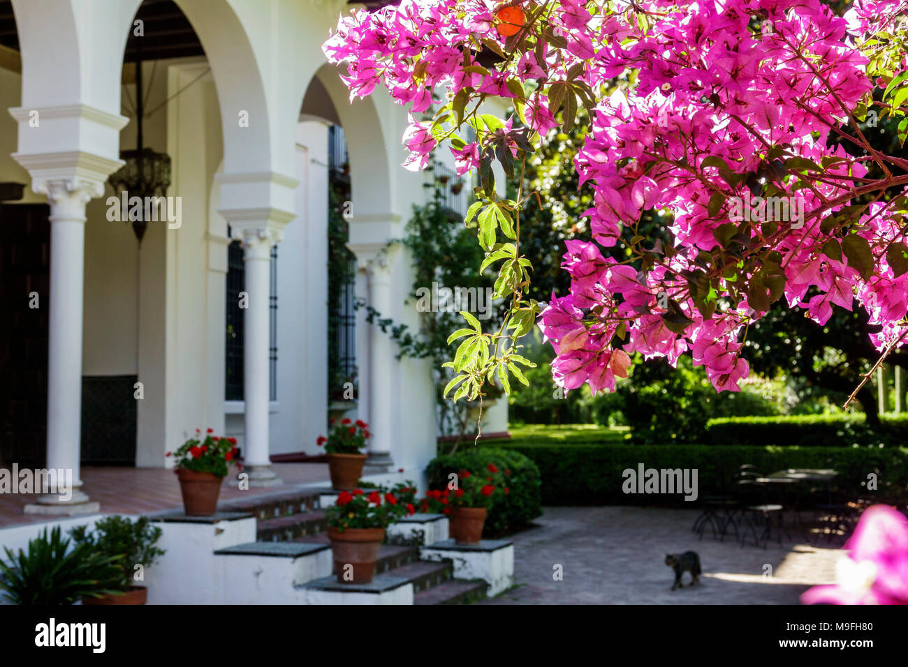Buenos Aires Argentina,Belgrano,Museum of Spanish Art Museo de Arte ...