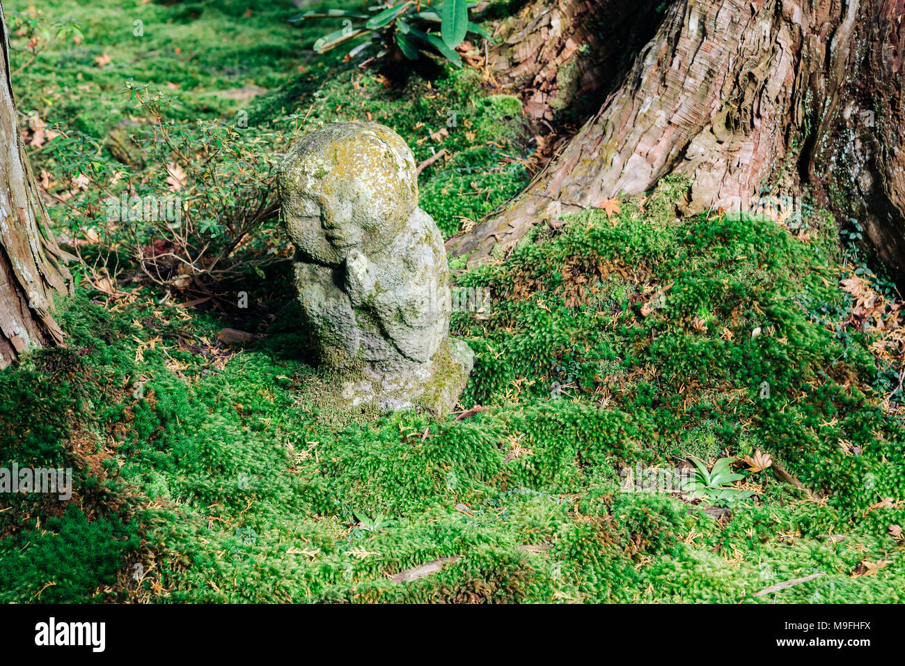 Sanzenin temple, stone statue in Ohara, Kyoto, Japan Stock Photo - Alamy