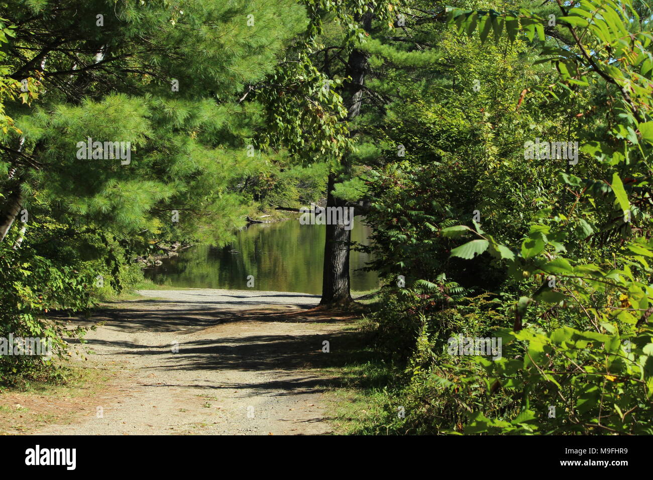 Path to the water Stock Photo - Alamy