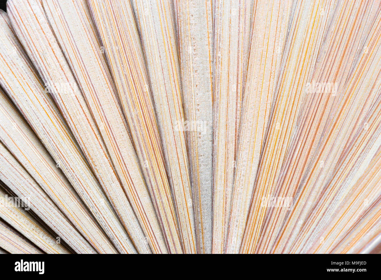 Background of evenly expanded wooden fan flasks Stock Photo - Alamy