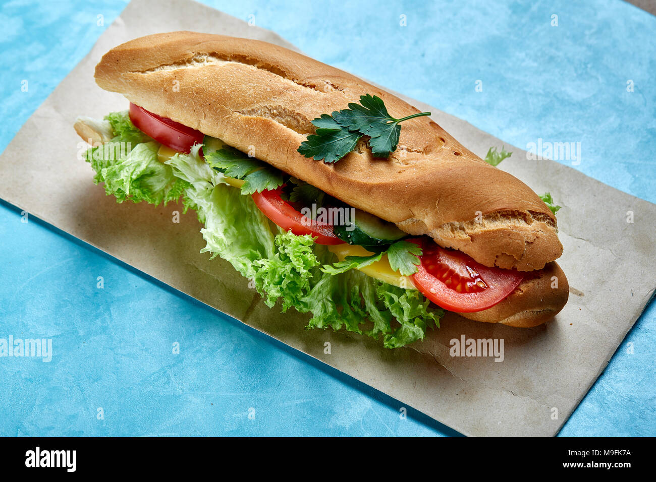 Fresh and tasty submarine sandwich with cheese, lettuce and vegetables ...