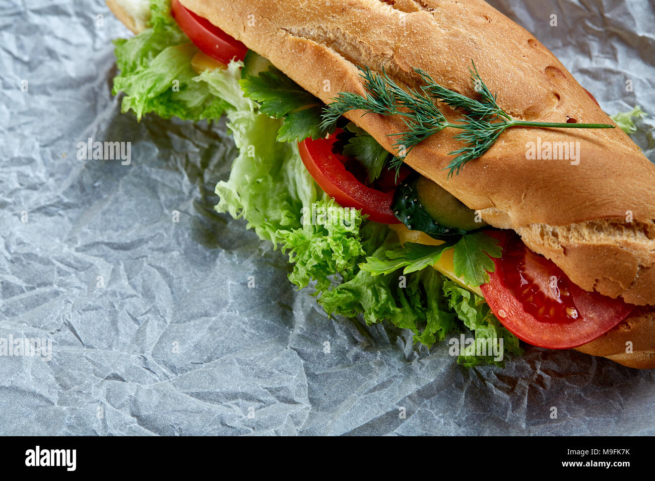 Fresh and tasty submarine sandwich with cheese, lettuce and vegetables ...