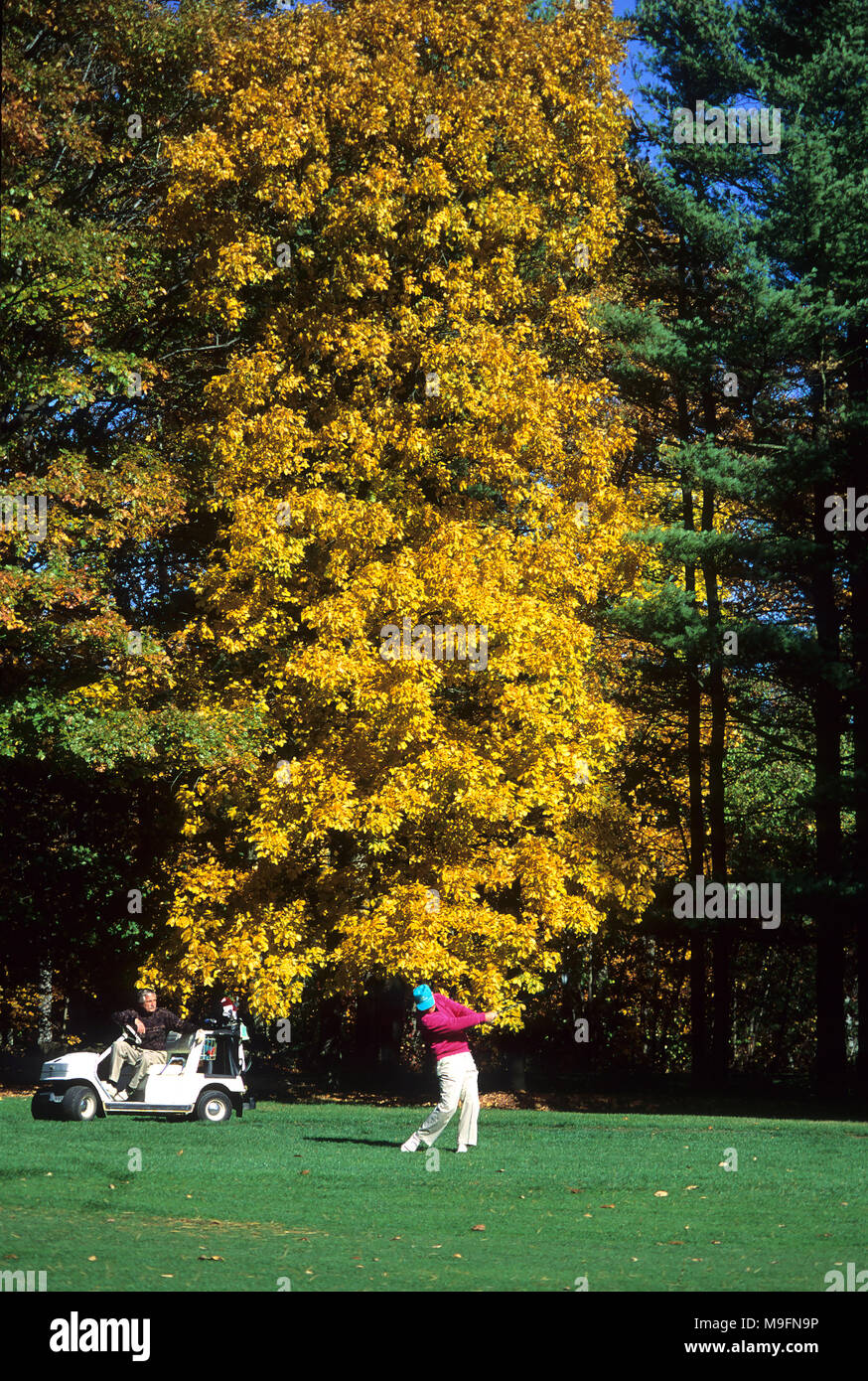 Action autumn hi-res stock photography and images - Alamy