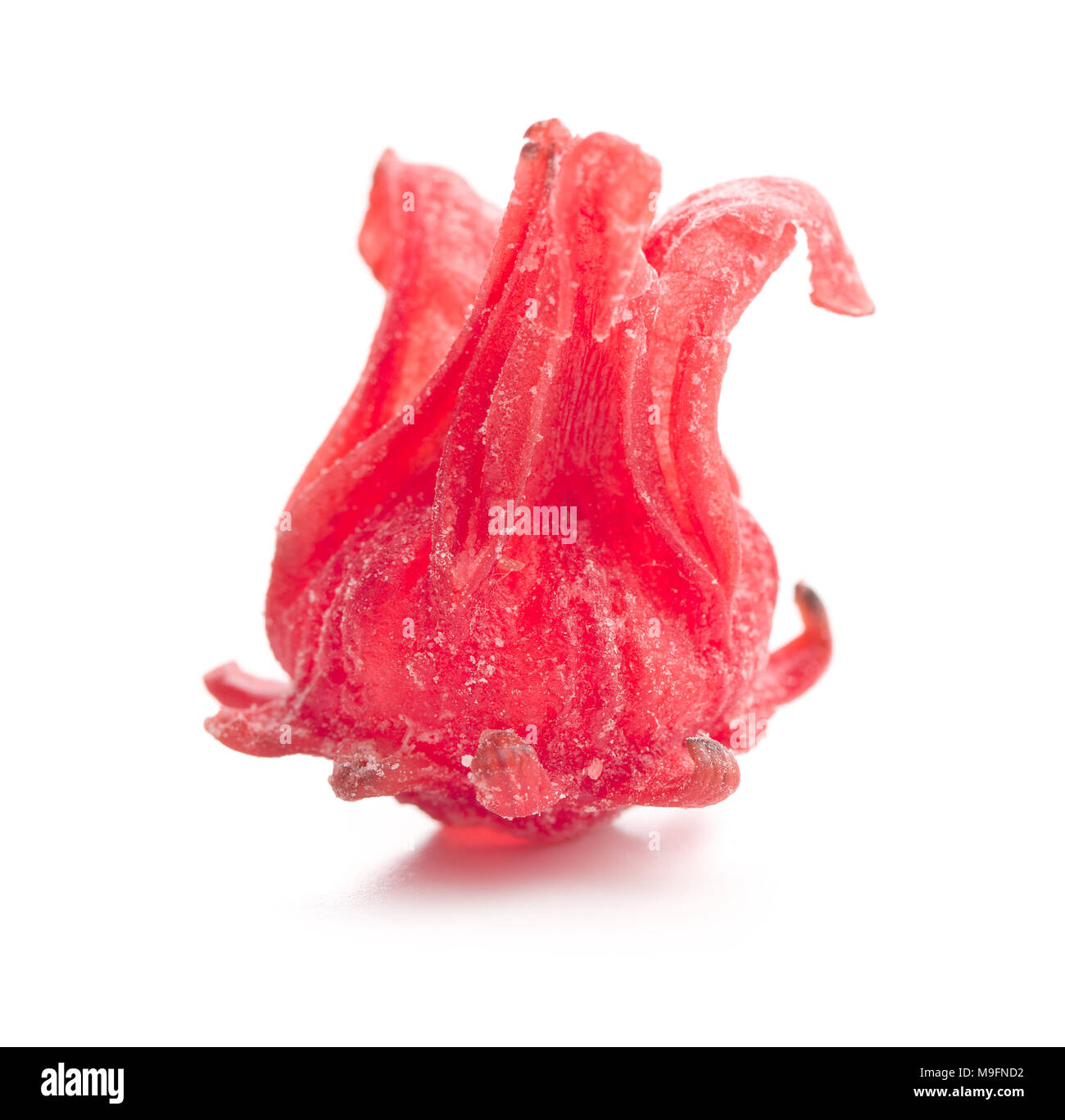 Candied hibiscus flower isolated on white background Stock Photo - Alamy