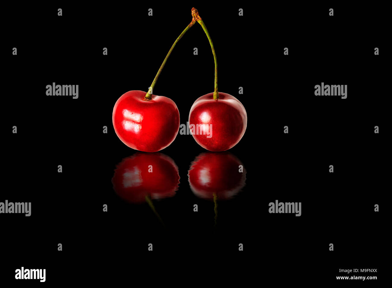 cherries are isolated on a black background, design and fruit Stock ...