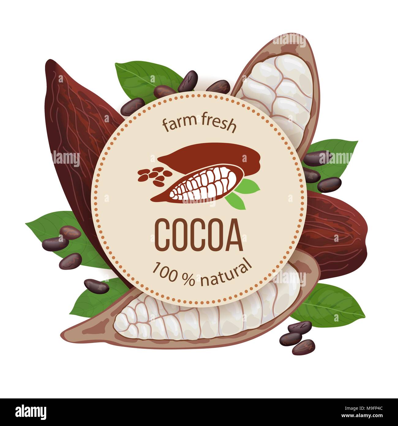 Cocoa pod illustration Stock Vector Images - Alamy
