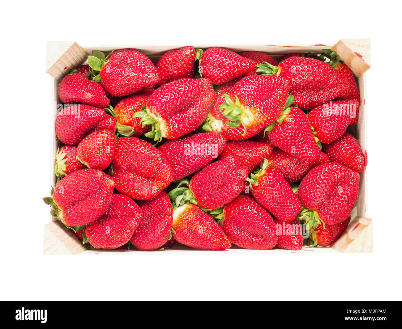 Box of large size strawberries flat lay top view isolated on white ...