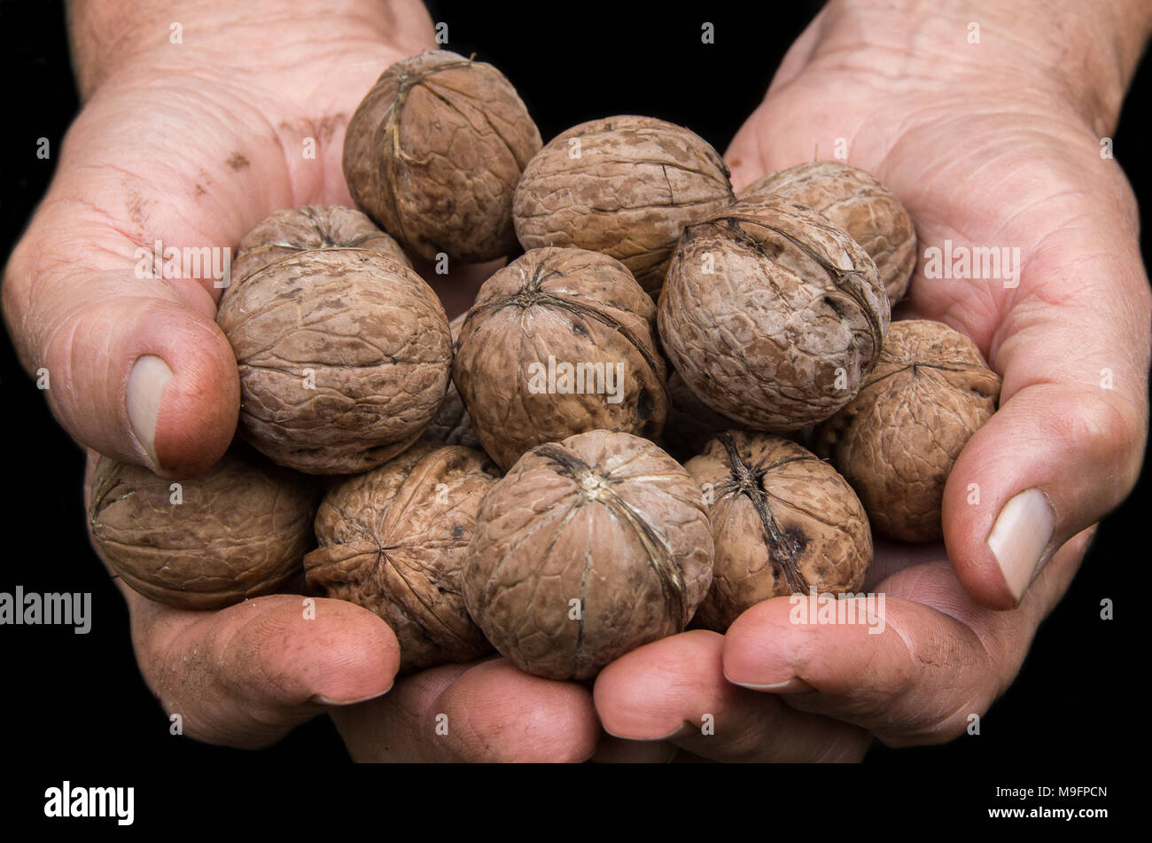 Farmers hands hi-res stock photography and images - Alamy